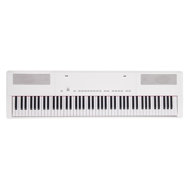 How to Choose the Best Piaggero NP12 Keyboard: A Complete Buying Guide