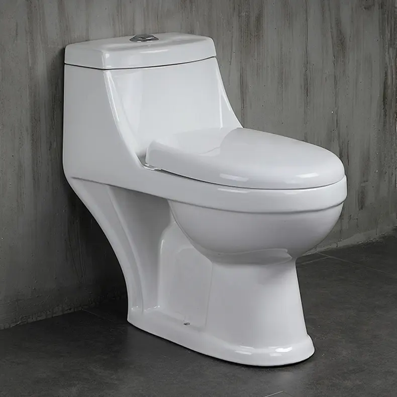 Water Coset Suit WC Complet - Modern Toilet Set for Bath
