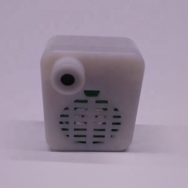 Plastic Sound Box for Toy - Customizable Voice Recorder