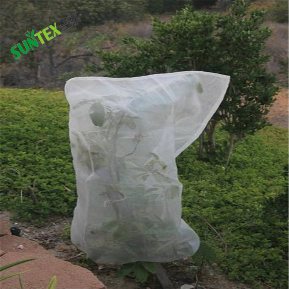 Suntex Heavy Duty Mesh Bags for Citrus Trees - Anti Insect Covers ...