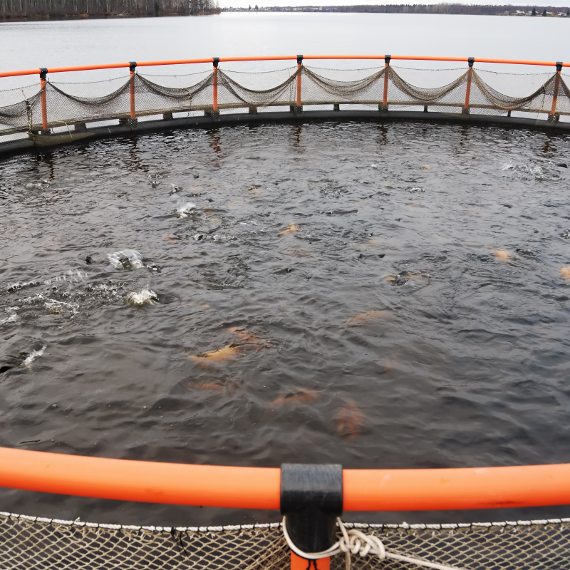 HDPE Floating Aquaculture Trap Plastic and Net PE Floating Fish Cage ...