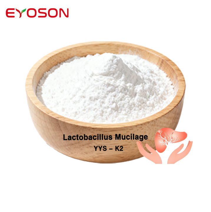 Halal Probiotics Lactobacillus Mucilage Food Supplement Natural Liver ...