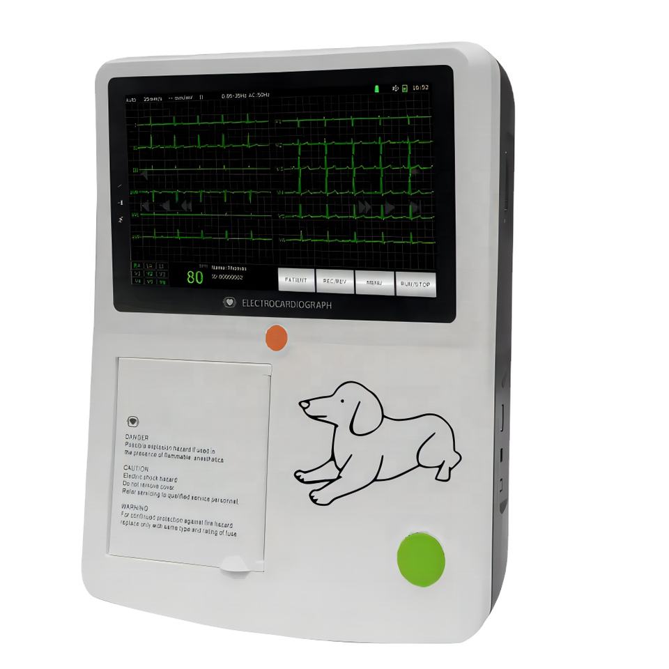 Phynaveen 12 Lead Handheld Portable Touch Screen Vet Animal 3 Channel ...