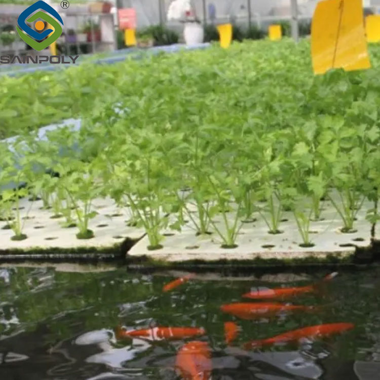 How to Choose the Best Fish Planting System for Your Needs