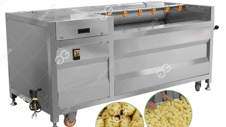 Guangzhou Brush Fruit Vegetable Washer - Efficient & Durable