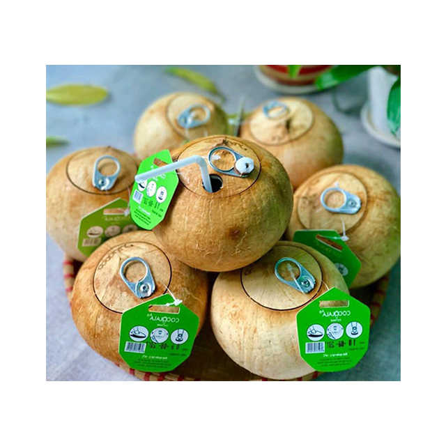 Fresh Easy Opening Coconut - Premium Young Coconut