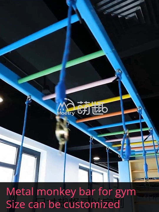 Moetry Sensory Equipment Wall Mount Monkey Bar for Special Needs ...