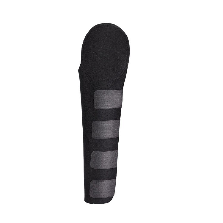 How to Choose the Best Horse Tail Protector: Buying Guide 2026