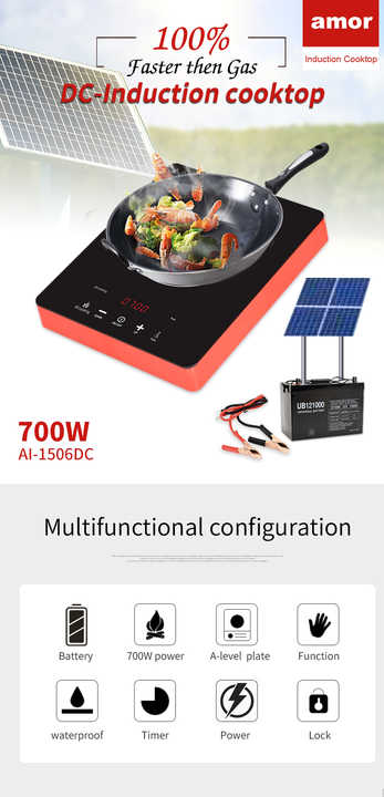 12V / 24V Battery Solar Induction Cooker with Single Burner for Outdoor ...