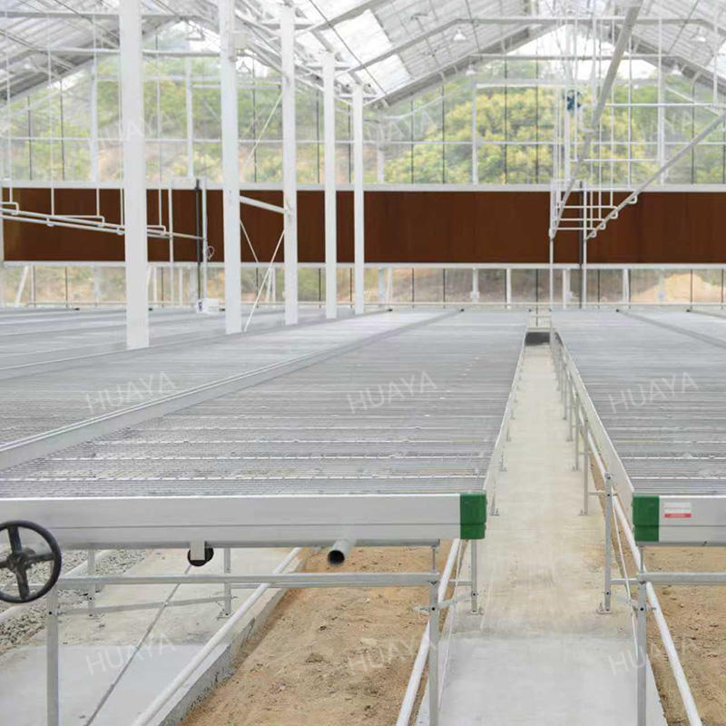 How to Choose the Best Seed Nursery for Your Gardening Needs