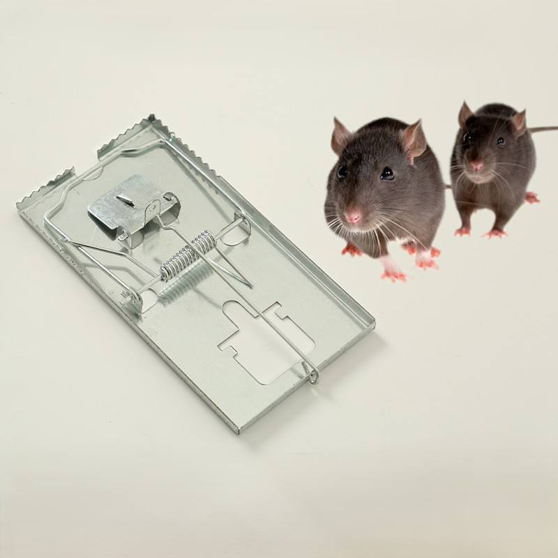 In-stock Stainless Steel Mouse Trap Dual-spring High-sensitivity ...