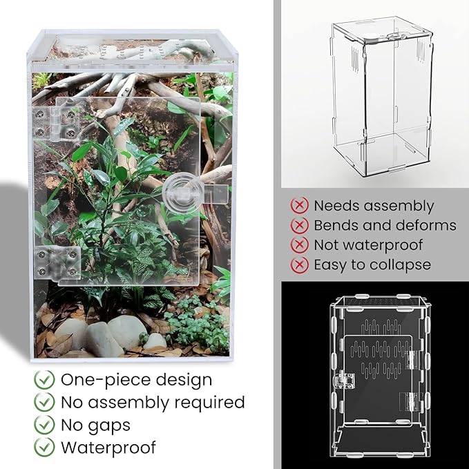 How to Choose the Best Acrylic Enclosure for Tarantula: A Complete ...