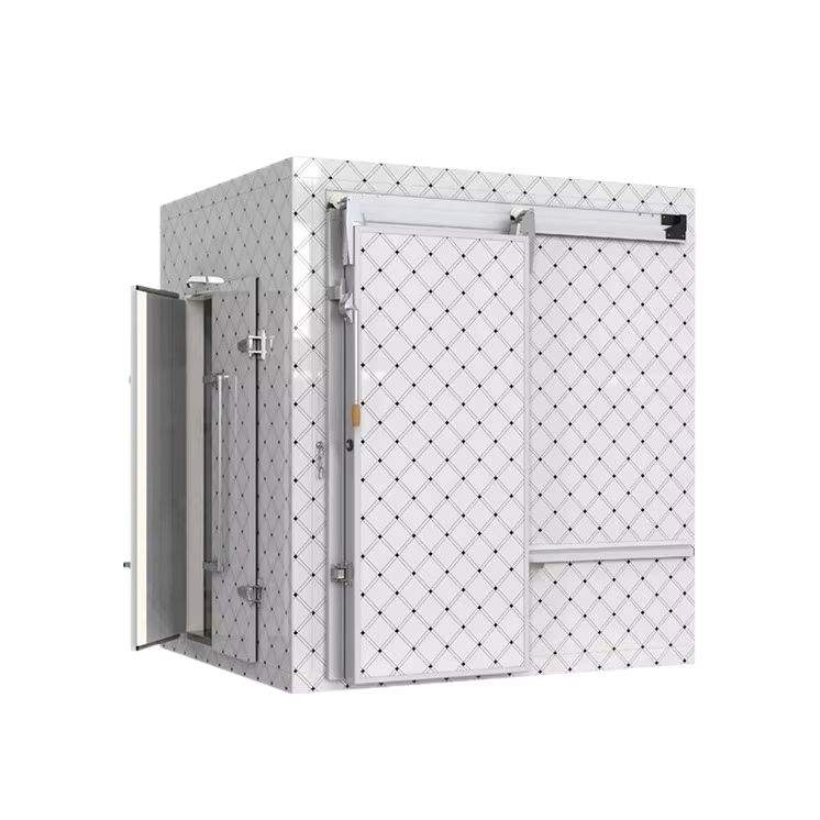 New Mobile Small Cold Storage Freezer Room with Solar Panel Copeland ...