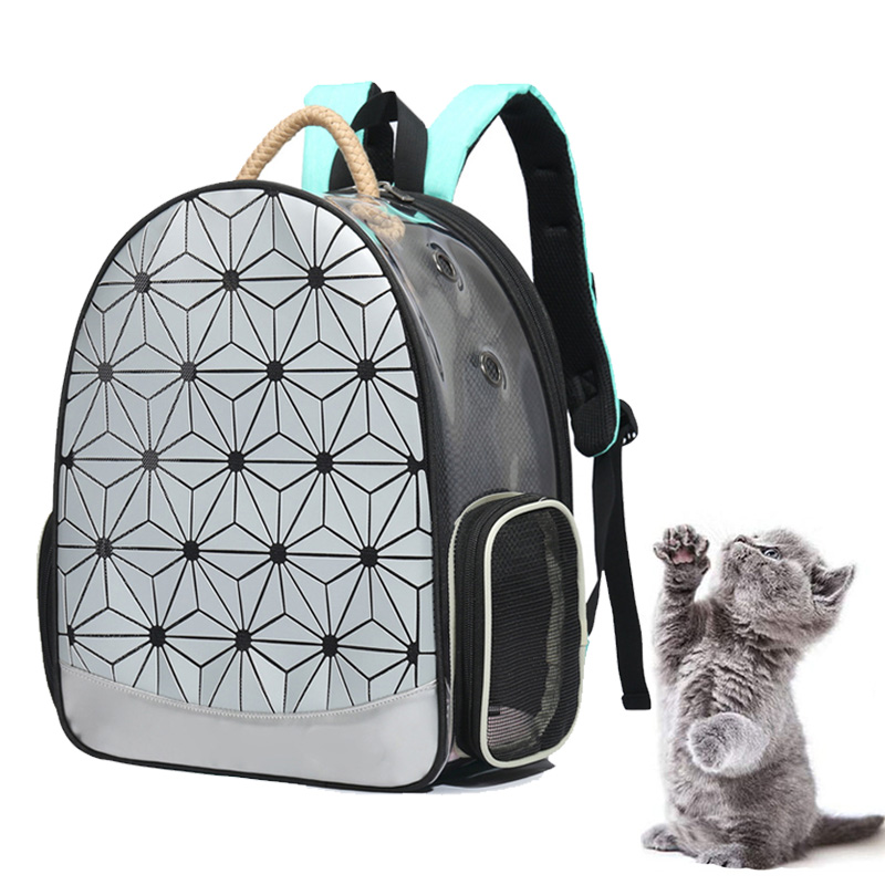 Переноска Для Кошек Прикол Фото – Telegraph