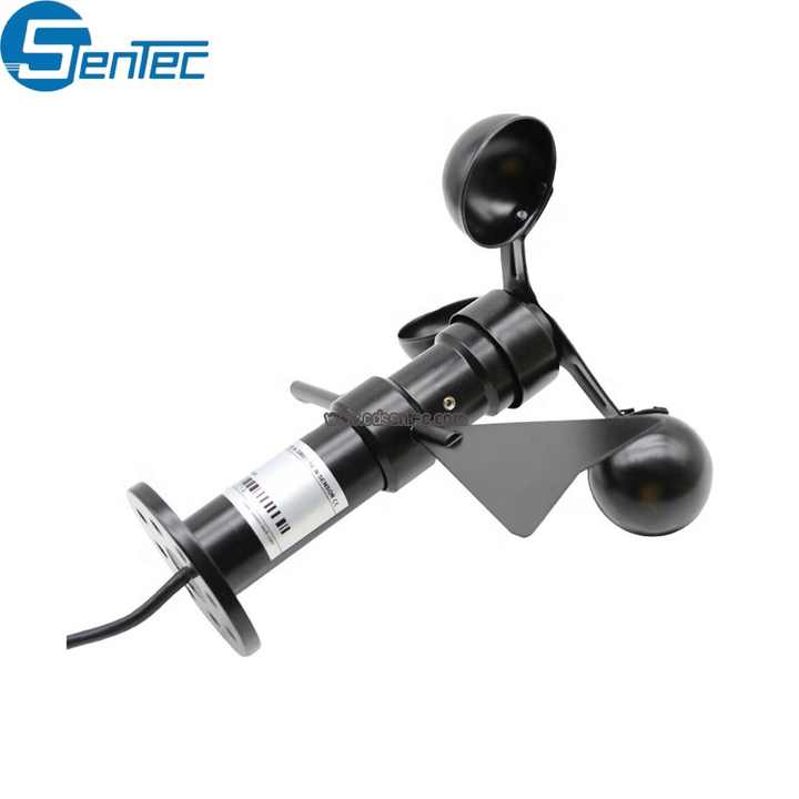 SENTEC Wind Speed and Direction Integrated Sensor Wind Parameters 2 in ...