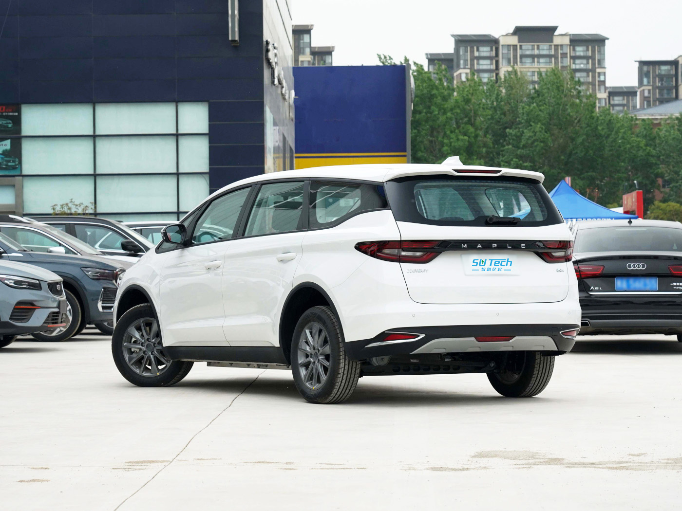 Business Electric Car Livan Maple 80v Pro Long Range Suv Fast Charging New Energ Ev Car Mpv ...