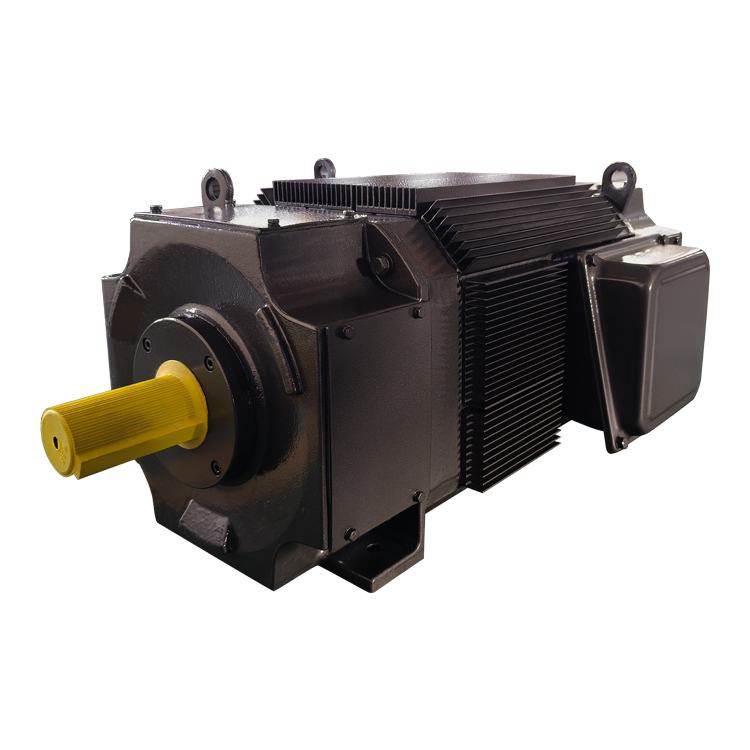 Shunt DC Motors - High Performance for Industrial Use