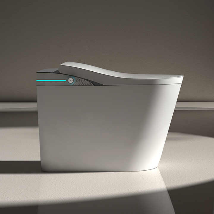Bidet Toilet - Smart, Ceramic, and Efficient Solutions
