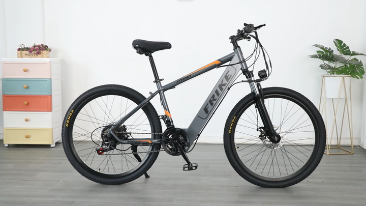 36V48V Frike Electric Cycles - High Performance Ebikes