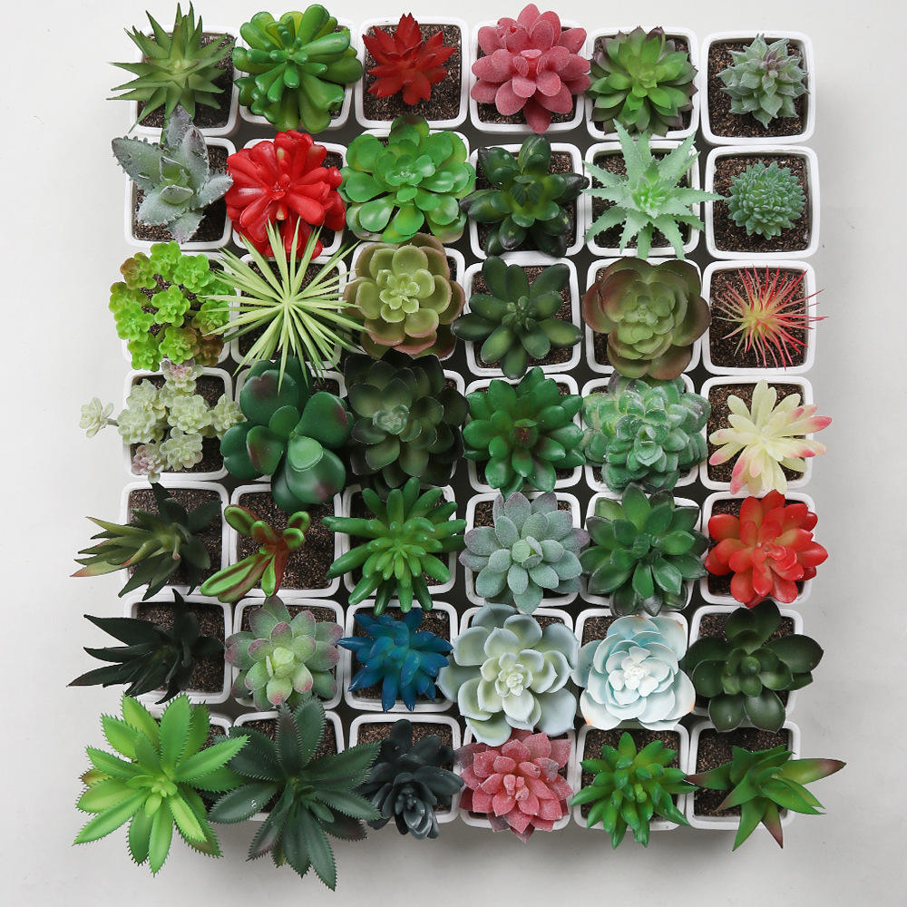 How to Choose the Best Artificial Cactus Only for Your Space