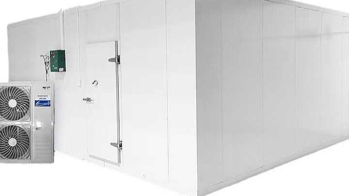 Hot Cold Chain Warehouse Storage Goods Cold Rooms High-power Energy ...