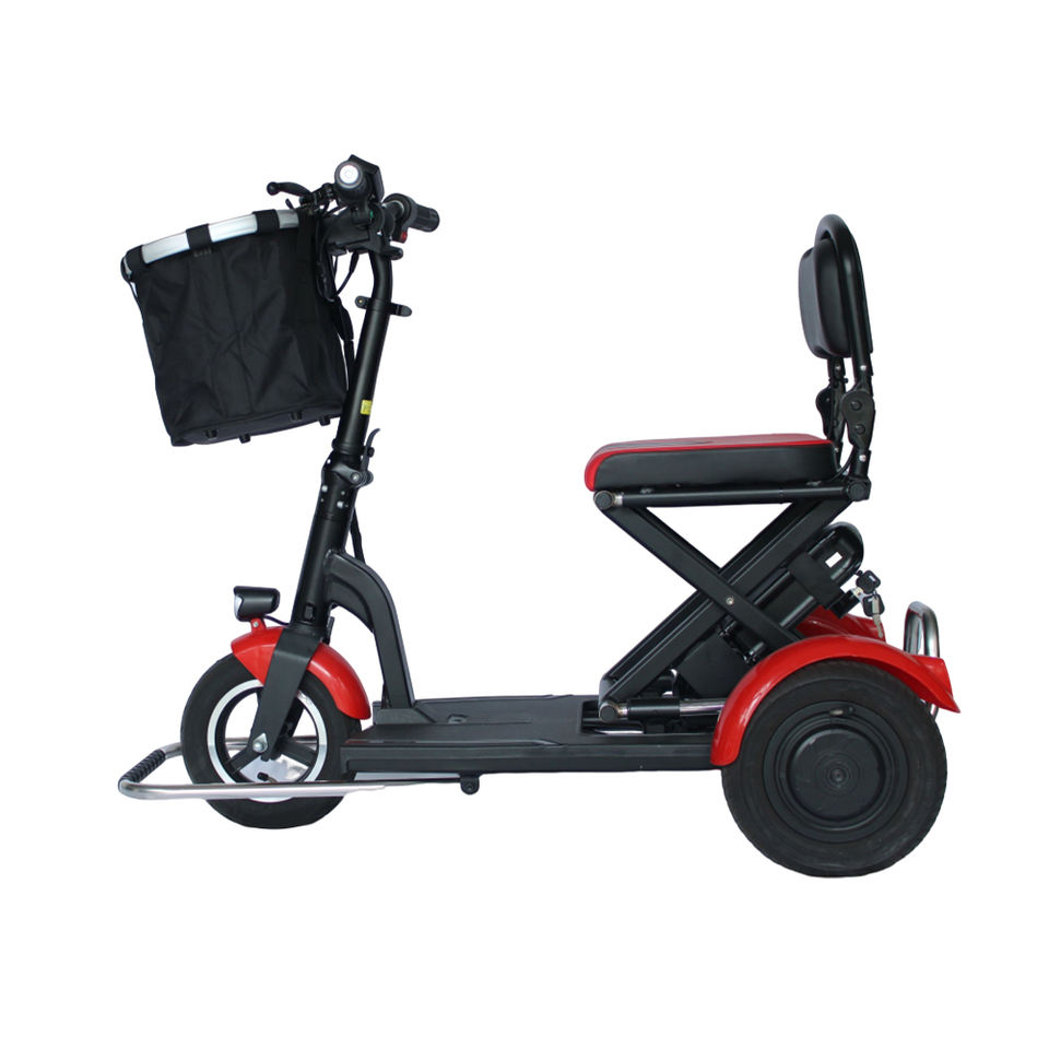 Dynalion 36V/48V Three Wheel Electric Bicycle with Removable Battery ...