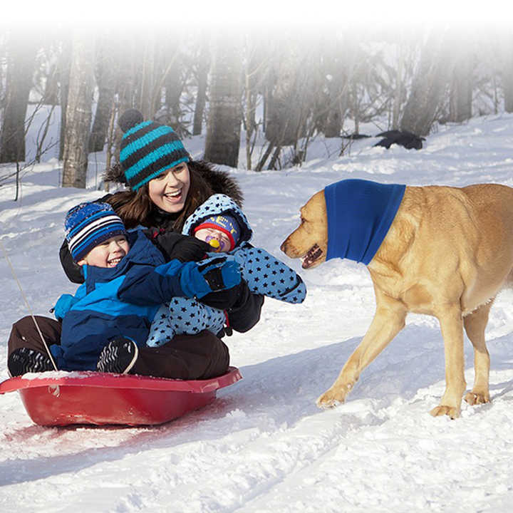 Anxiety Relief Calming Band for Dogs & Cats Dog Calming Hoodie Head ...