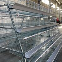 Unmanned Cheap Chicken Coops Chicken Drinking Trough System Broiler ...