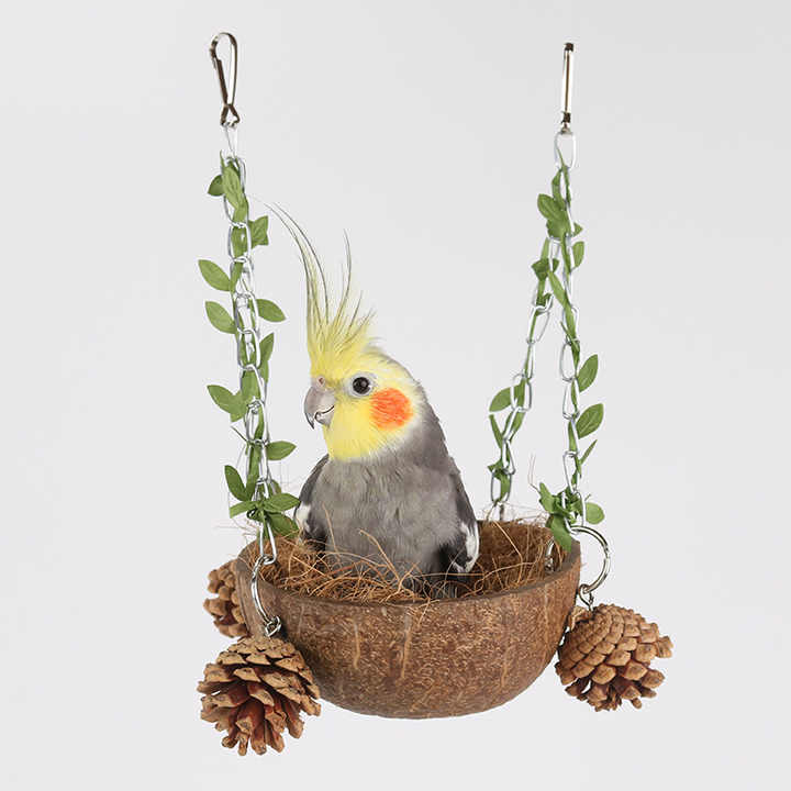 Coconut Shell Bird Nest Budgie Bird Toys Natural Pine Cone Bird ...