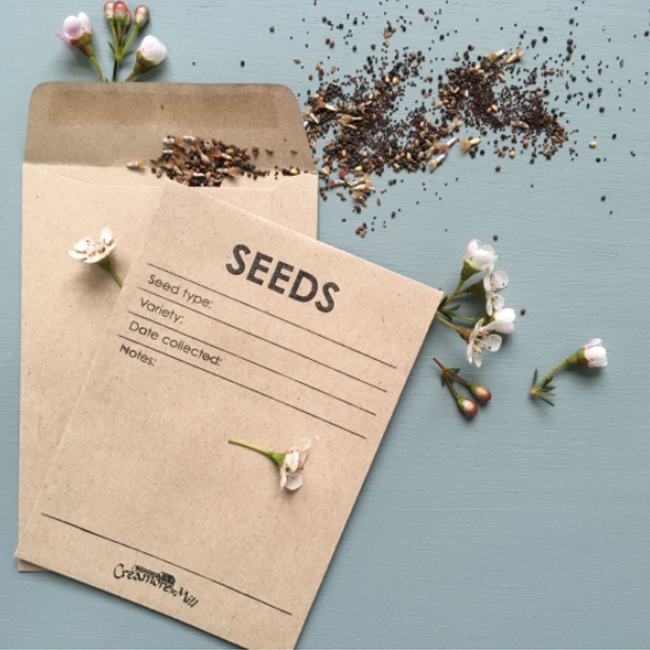 How to Choose the Best Custom Mini Seed for Your Needs
