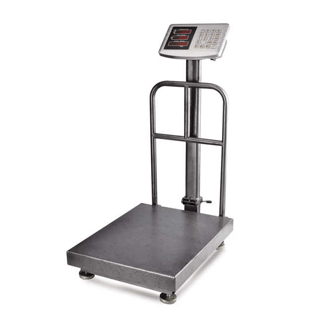 Platform Scale 300 KG - Precision Weighing Solutions