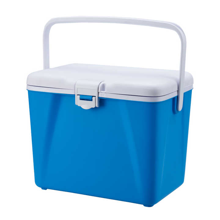 6L Hospital Non-medical Cooler Box Drug and Blood Reagent Cooler for 48 ...