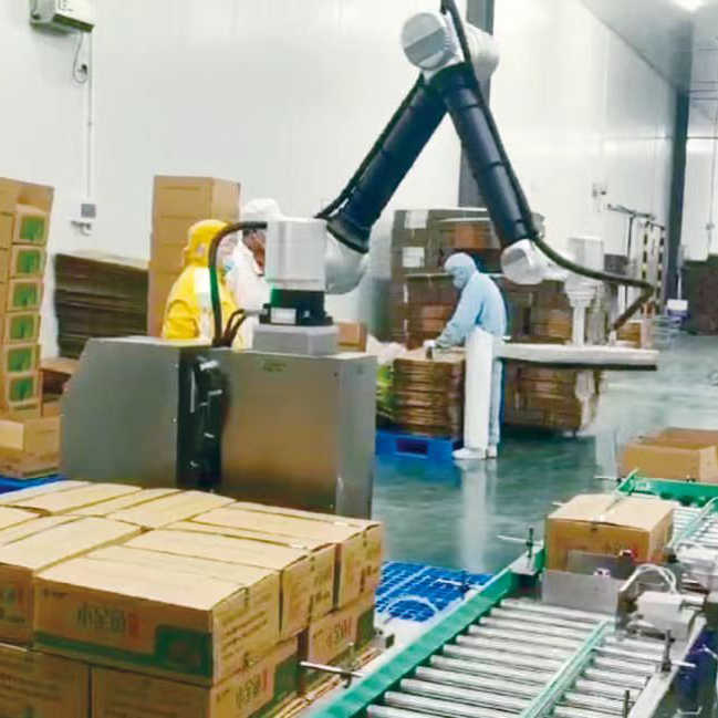 Collaborative Robot Palettizer Collaborative Robot Stacking Machine 20kg 35kg Bags Carton Cobot ...