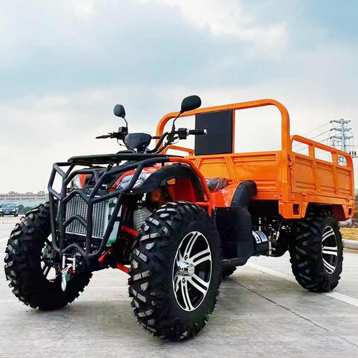 Adult Atv Quad Bike Farm Quad 4x2 Wheel Agricultural Automatic ...