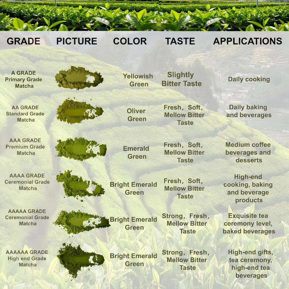 Organic Etiquette 100% Pure Matcha Green Tea Powder Instant Tea Powder ...
