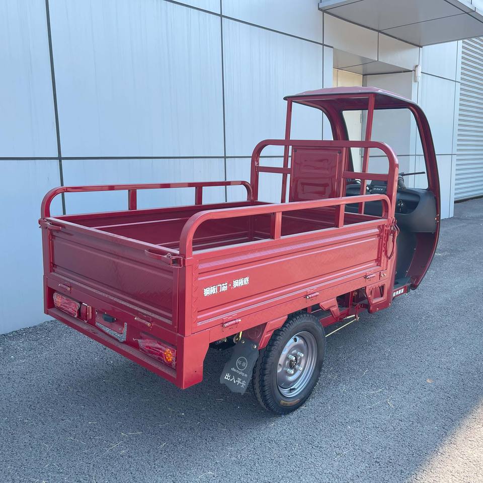 Electric Cargo Tricycle 800w Electric Tricycle Cargo Truck Adult Three ...