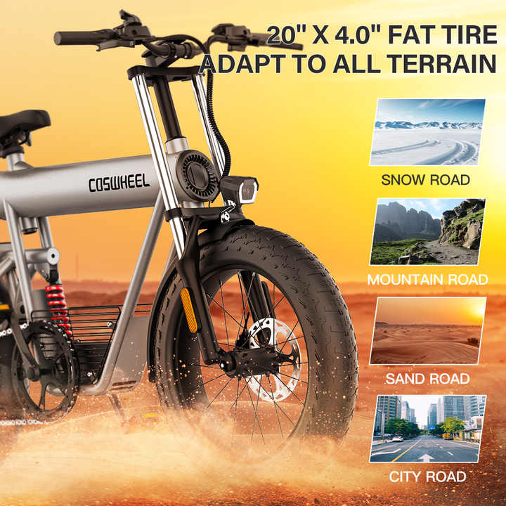 Coswheel T20 Full Suspension 20" Electric Bicycle Electric Bike 1500W ...
