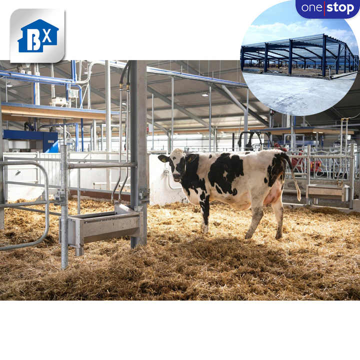 Steel Structure Cow House Design - Durable & Customized