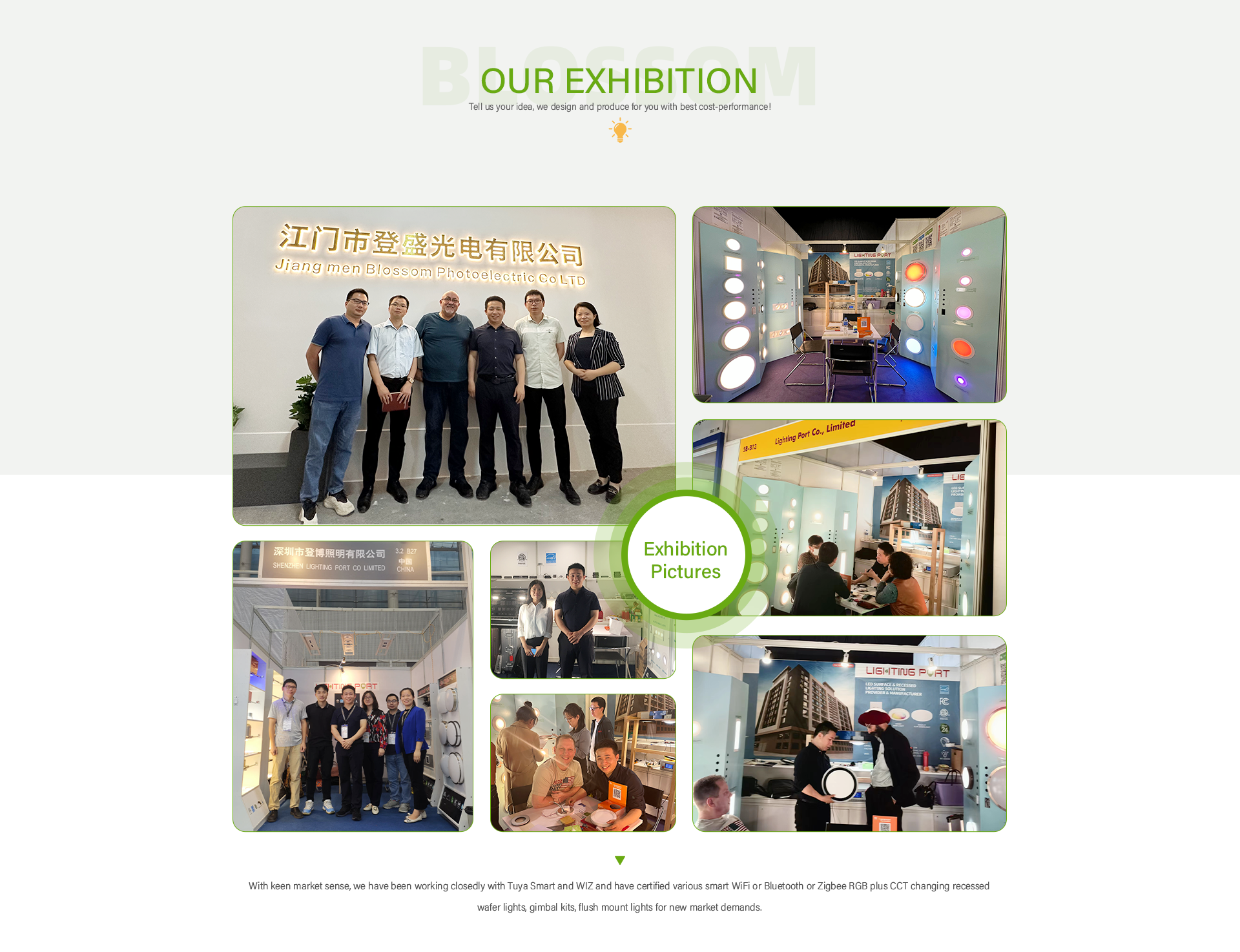 SHENZHEN BLOSSOM LIGHTING CO., LIMITED