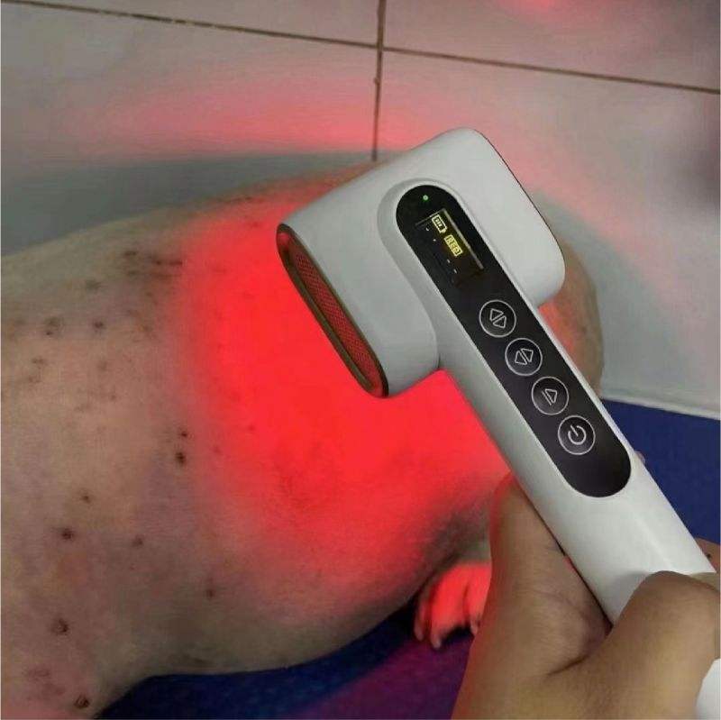 Pet Veterinary Therapy Device Red Blue Light Therapy Cat Dog Skin ...