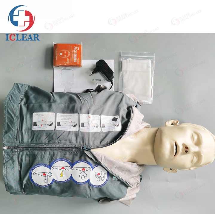 First Aid CPR Training Model with Blood Flow Visualization