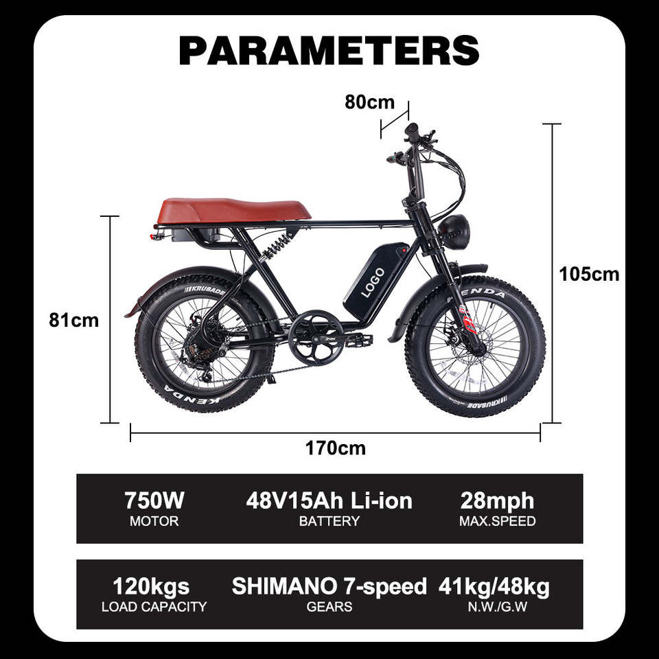 Quality Choice Electric Hybrid Bike 20 Inch 48V Adult Electric Dirt ...