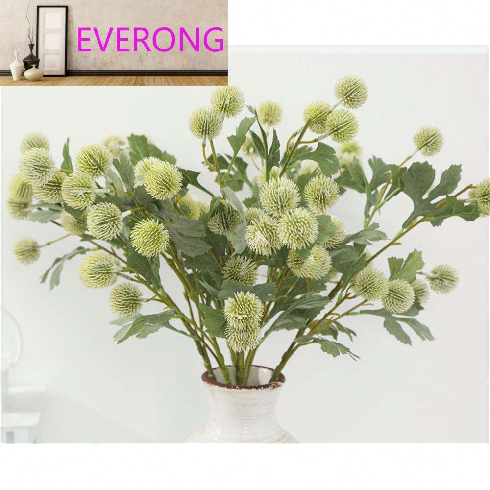 How to Choose the Best Mini Leaf Hydrangea with Seed for Your Garden