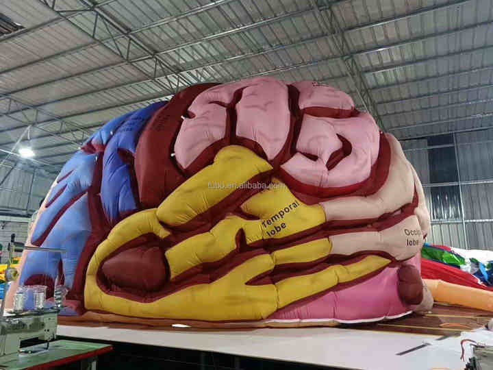 3m Custom Inflatable Brain model Organ for Outdoor Exhibit Event ...