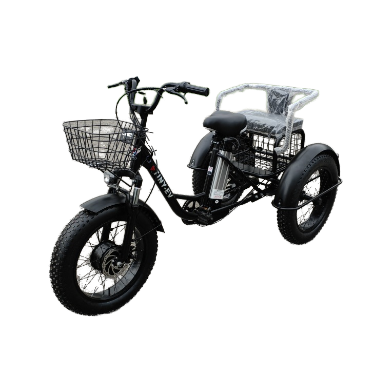 Best Selling JYOP 20-Inch Lithium Battery Pedicab Steel Frame Fat Tire ...