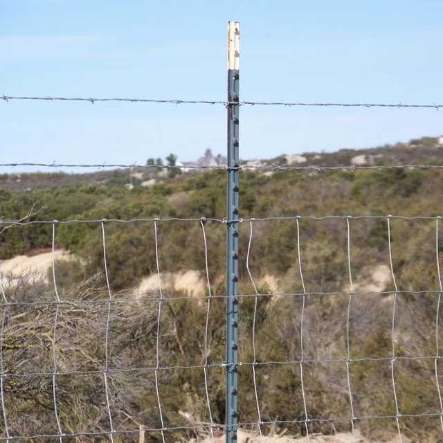 T Post for Farm Fence 6FT 8FT 10FT Steel Wire Farm Post T Rail Fence ...