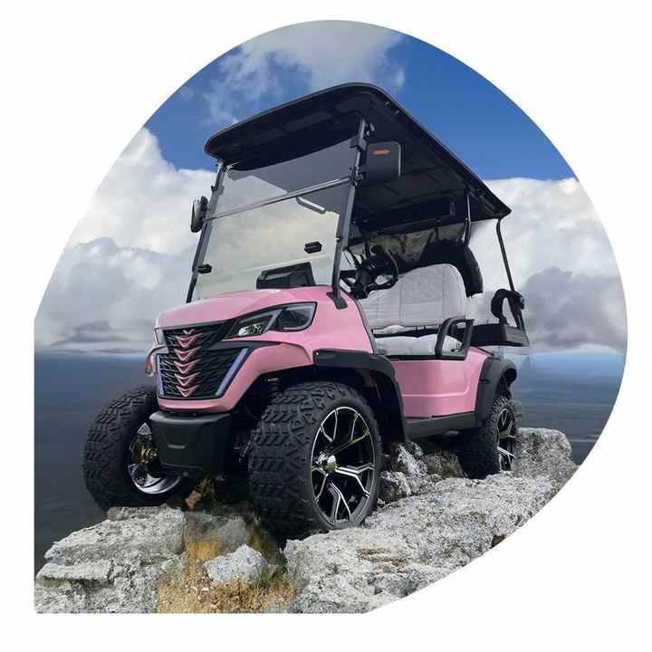 4-Seater Reception Shuttle Electric Golf Cart Low-Speed With ...