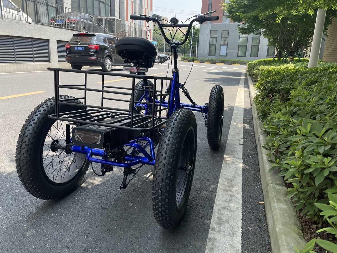 How to Choose the Best Four Wheel E Bike for Your Needs