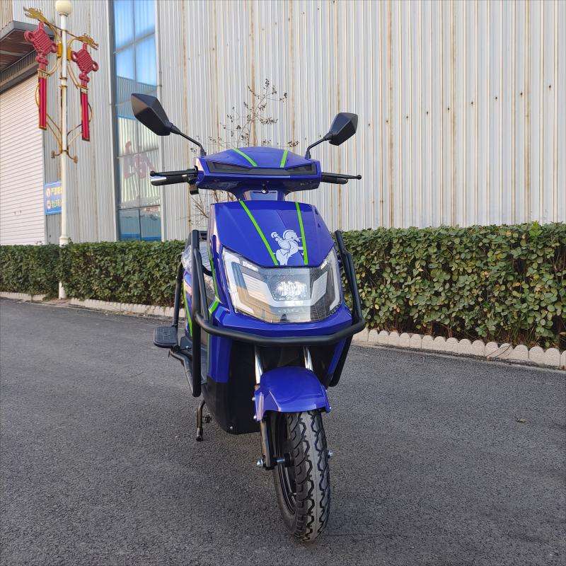 Le Shuai 1000W Brushless 72V 3 Speed Electronic Dual Suspension Carbon ...