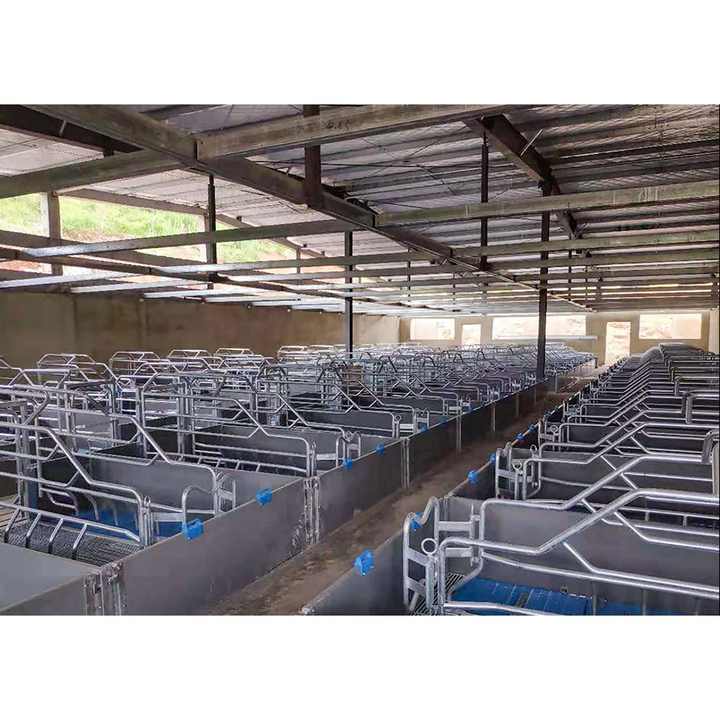 Pig Farm Epc Project Floor Plan Design Modern Pig Farm Intelligent Pig ...